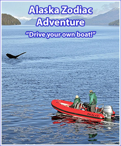 Ketchikan Kayaking , Zipline Adventure & Zodiac Tours